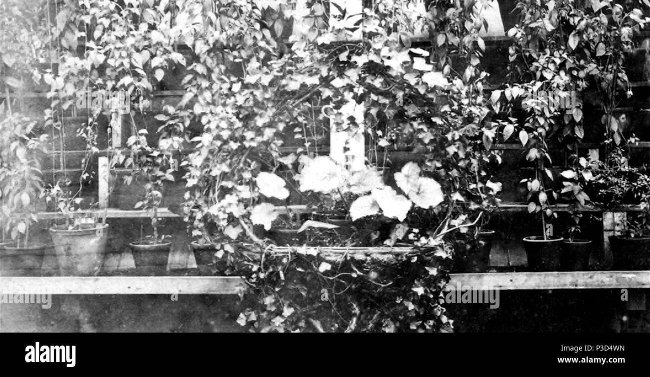 Public garden painting Black and White Stock Photos & Images - Alamy