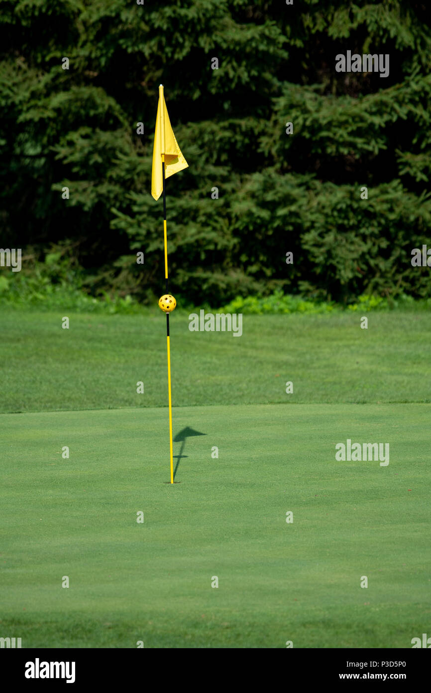 Golf Course, golf green with flag in the hole Stock Photo - Alamy