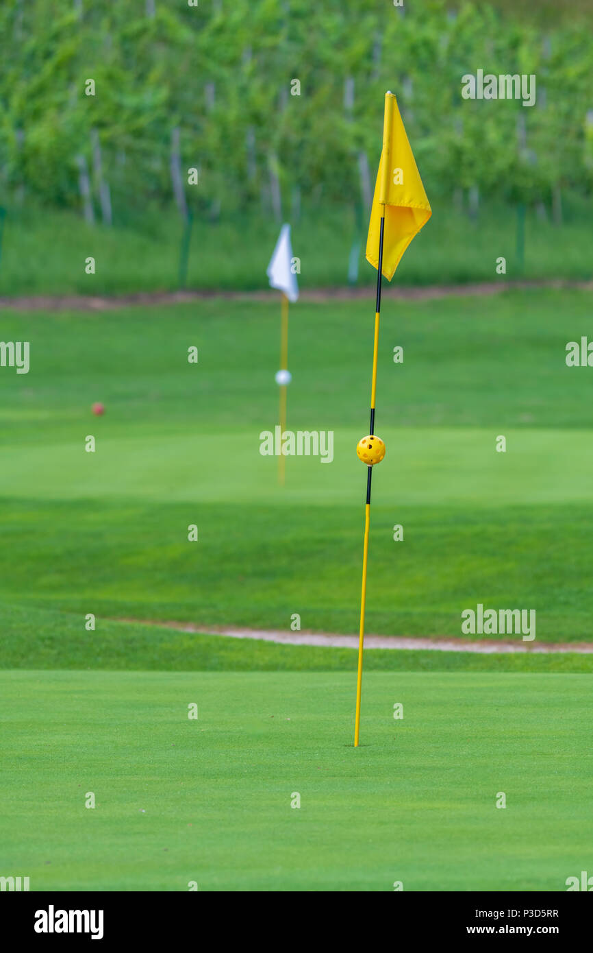 Green flag hi-res stock photography and images - Alamy