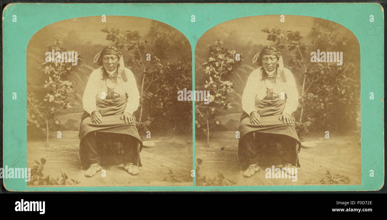 Sioux indian chief with dog hi-res stock photography and images - Alamy