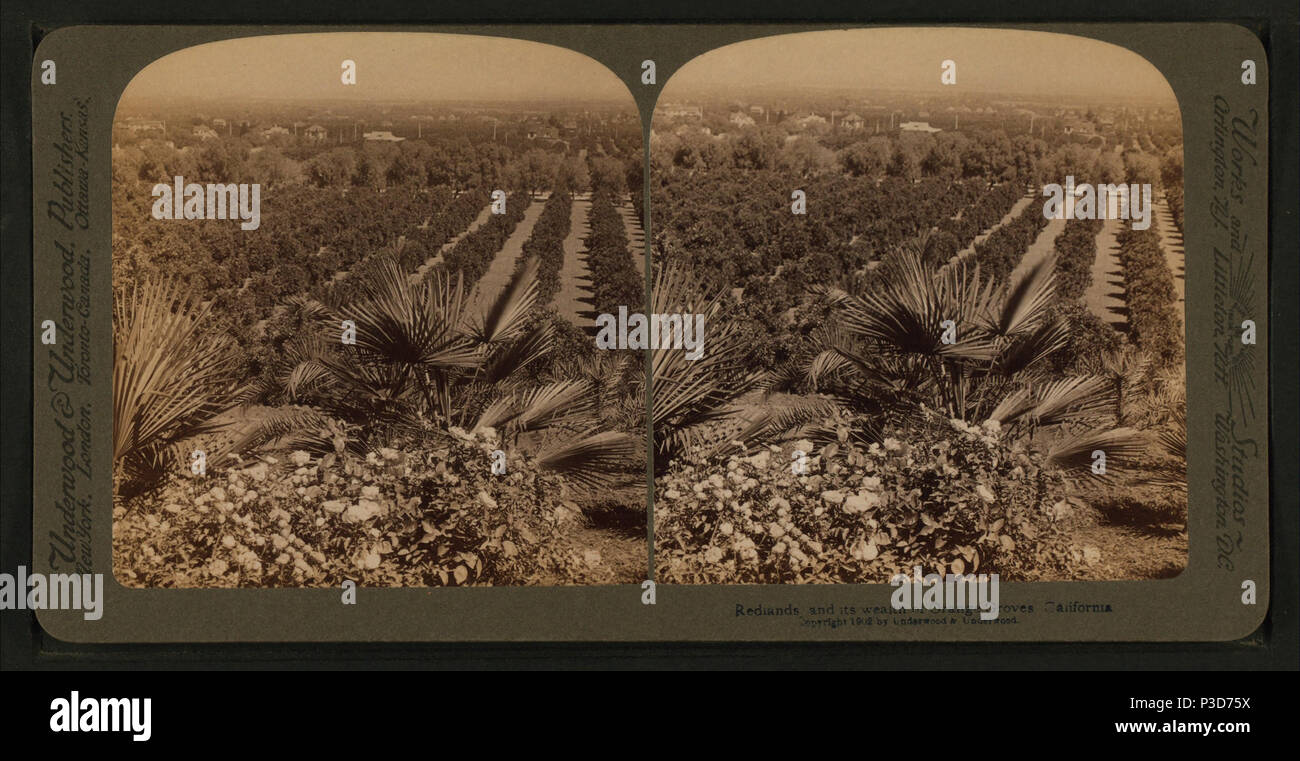 Orange groves california hi-res stock photography and images - Alamy