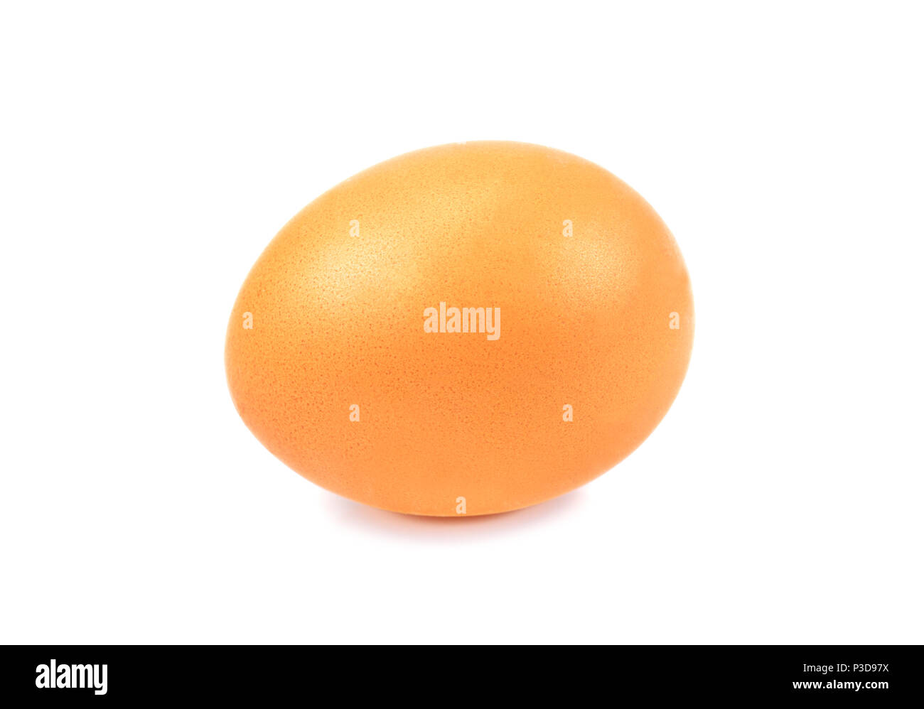 single chicken egg on white background Stock Photo - Alamy