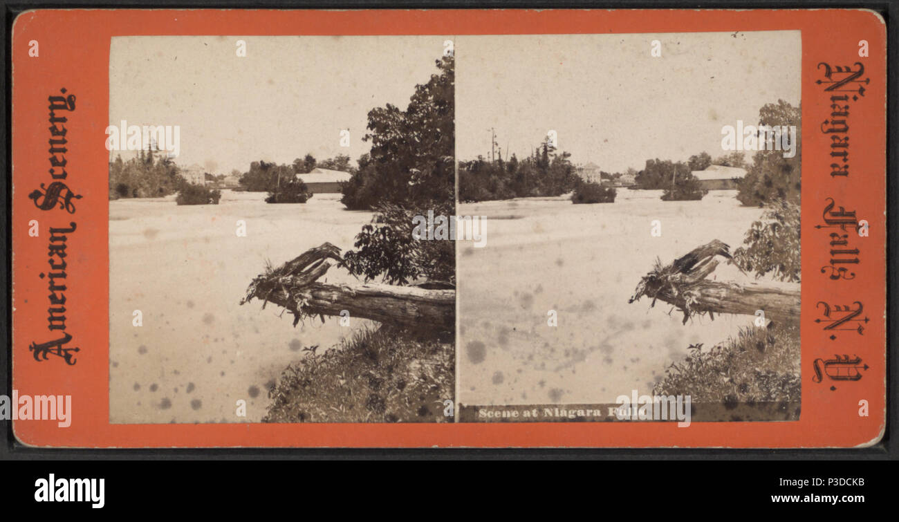 Niagara falls fallen tree hi-res stock photography and images - Alamy