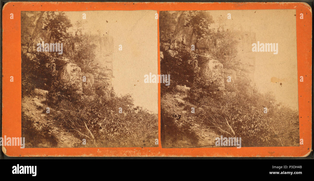 The ropers hi-res stock photography and images - Alamy