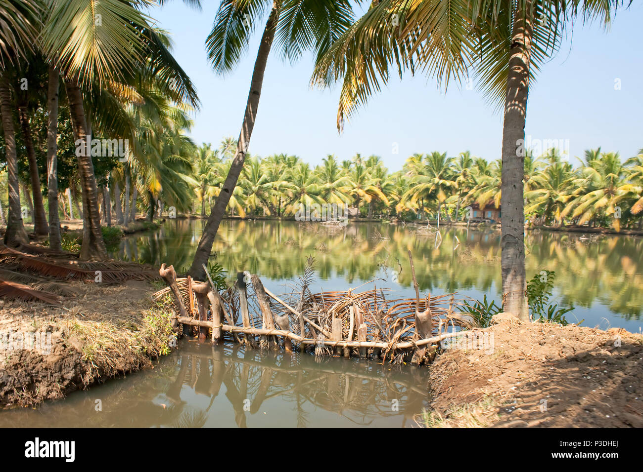Dam on the backwaters canals in Kerala ,India, summer scenery Stock ...