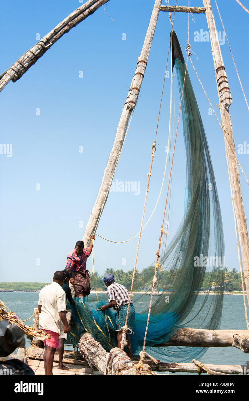 COCHIN, INDIA - FEBRUARY 02 : Fishermen collecting ther catch from ...