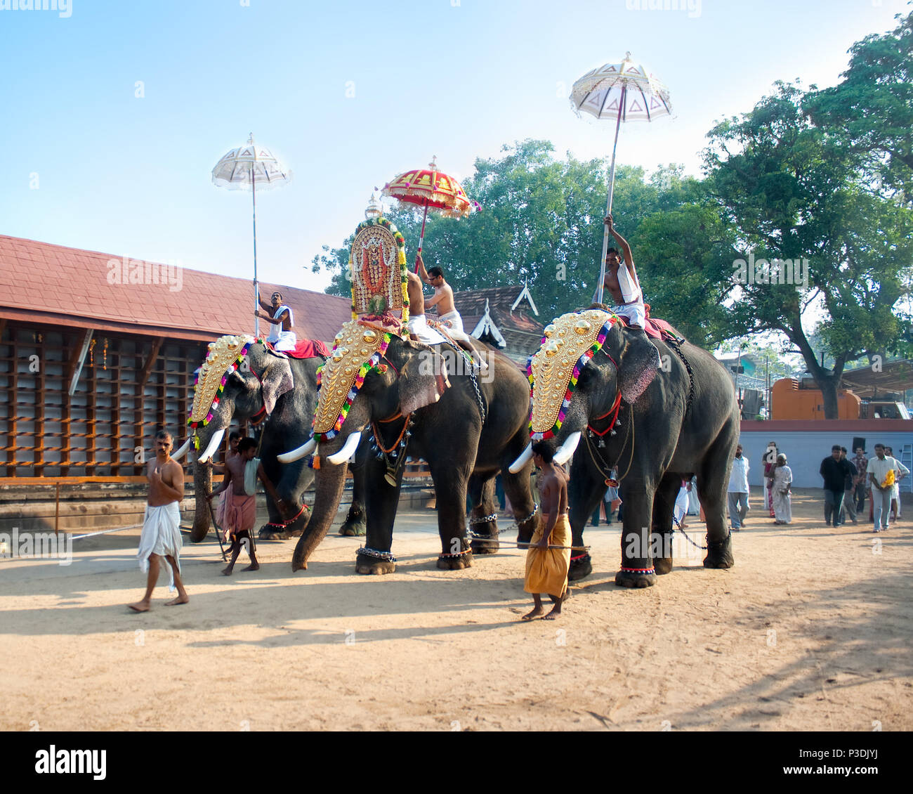 COCHIN, INDIA - FEBRUARY 03 :Parade with gold caparisoned elephants at ...