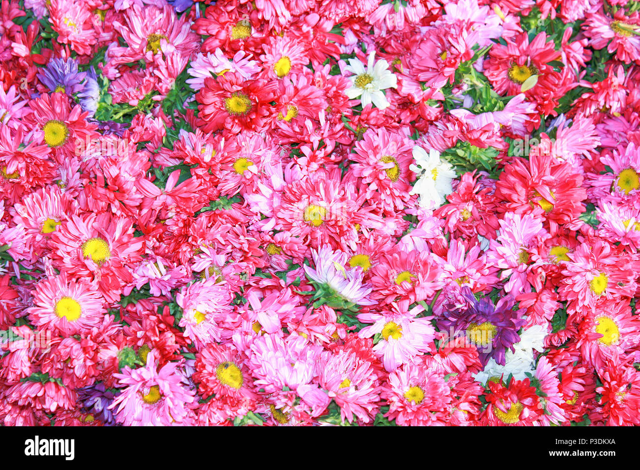 Rough edge hi-res stock photography and images - Alamy