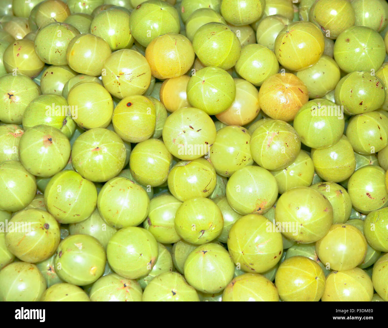 indian gooseberry, raw food, with vitamin-c Stock Photo - Alamy