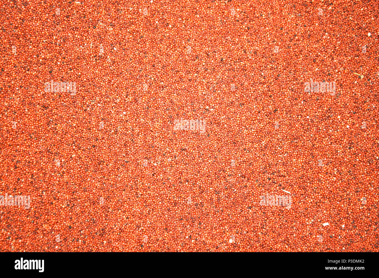 Red pepper background, spice , India Stock Photo - Alamy