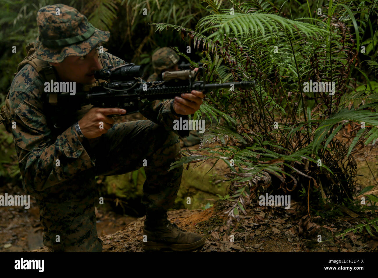 A Marine with Fox Company, Battalion Landing Team, 2nd Battalion, 5th ...