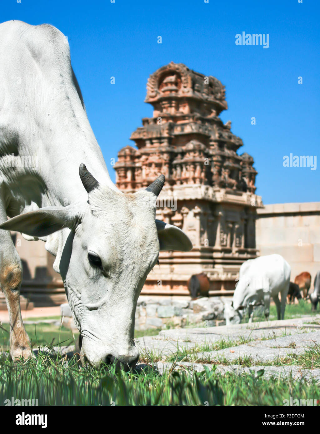 Hindu Temple near Zenana Enclosure, area of Hampi, state of Karnataka ...