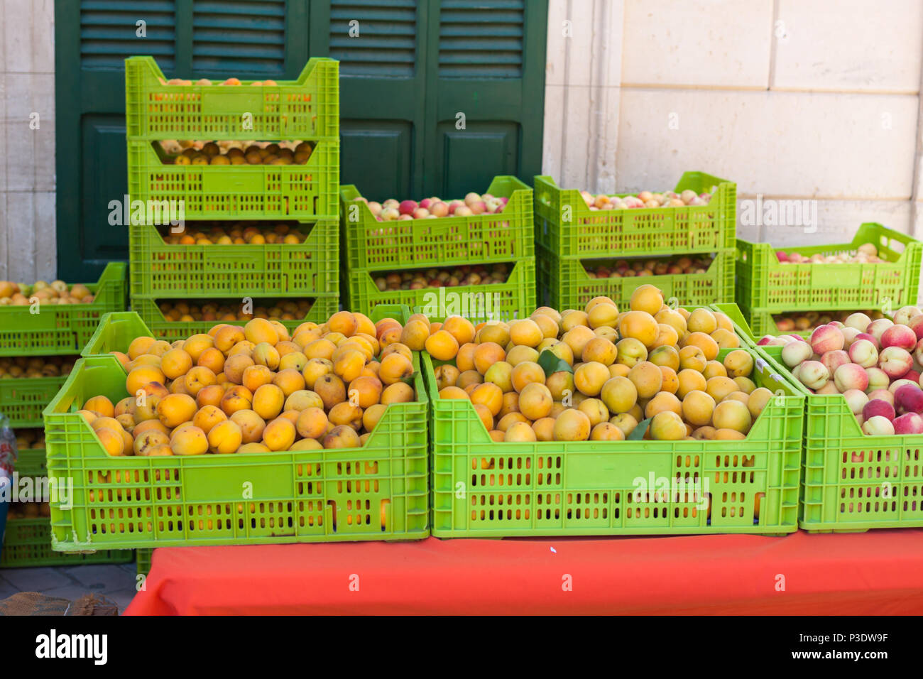 Bright orange apricots in boxes for sale on Apricot Fair in Porreres ...