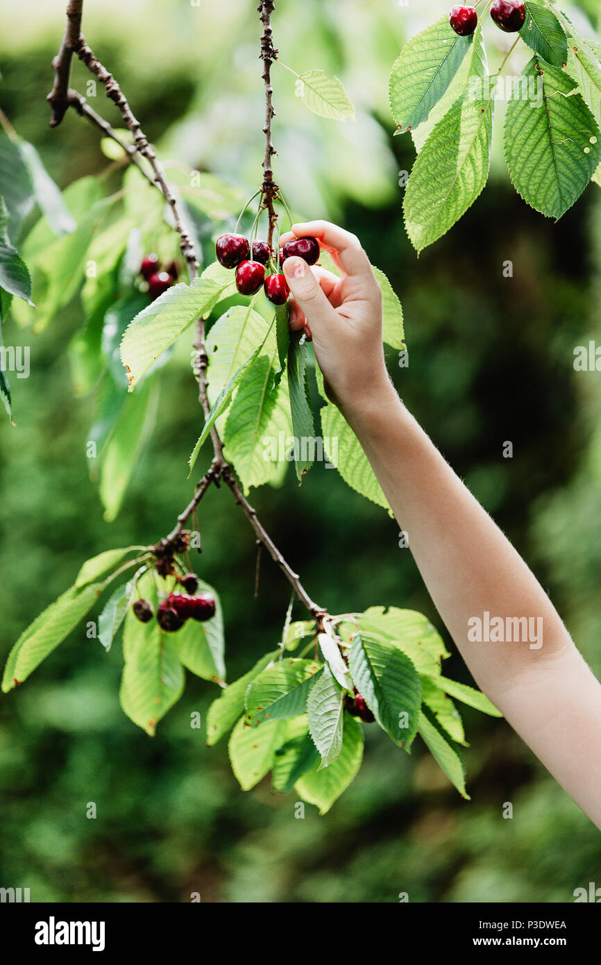 Body parts close up hi-res stock photography and images - Alamy