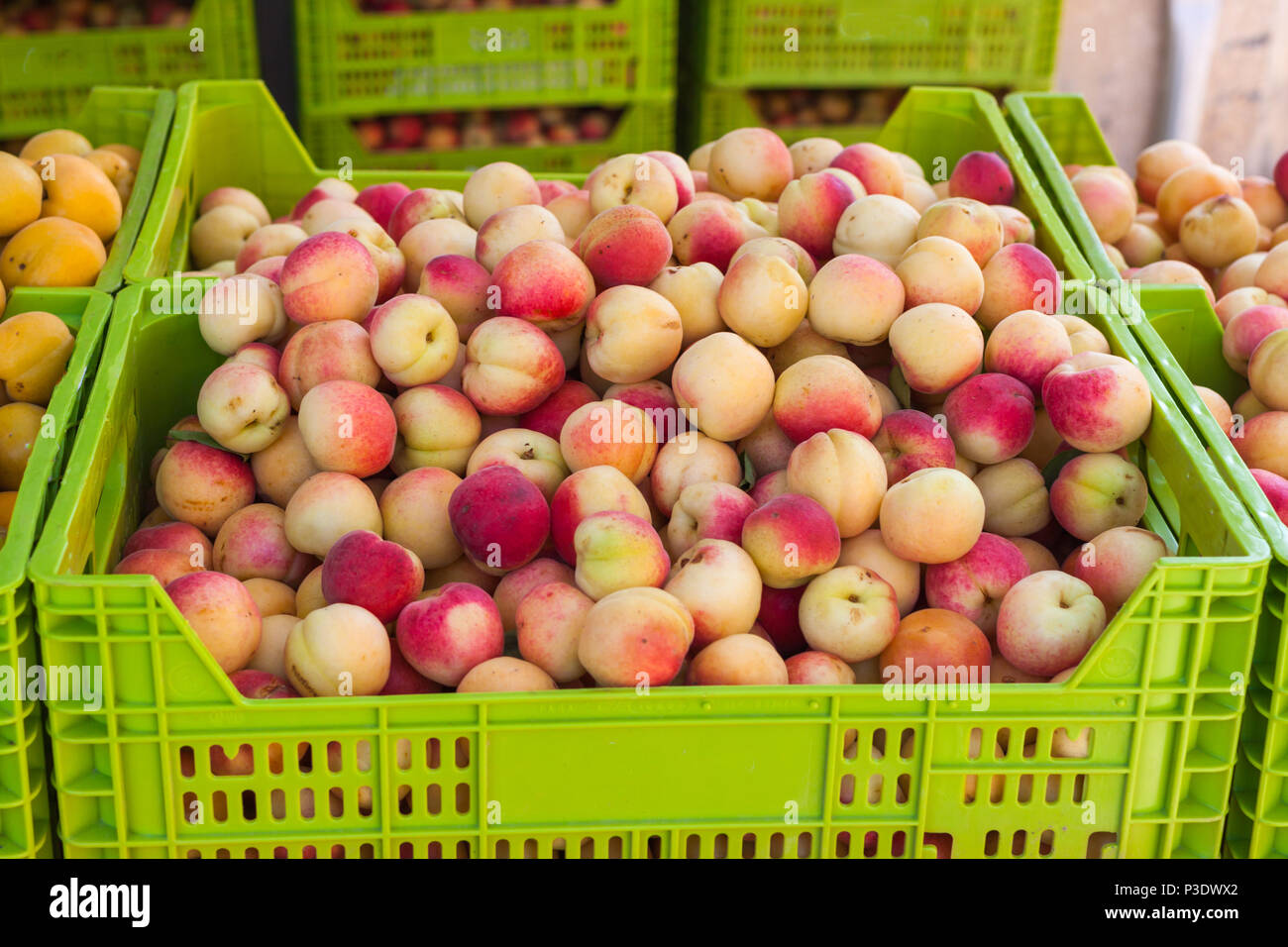 Apricot in box hi-res stock photography and images - Alamy