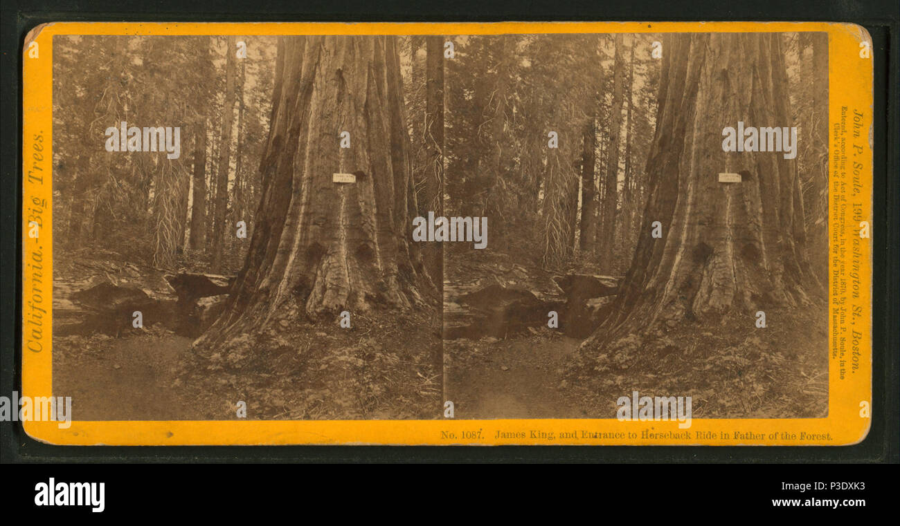 33 Feet High Resolution Stock Photography and Images - Alamy