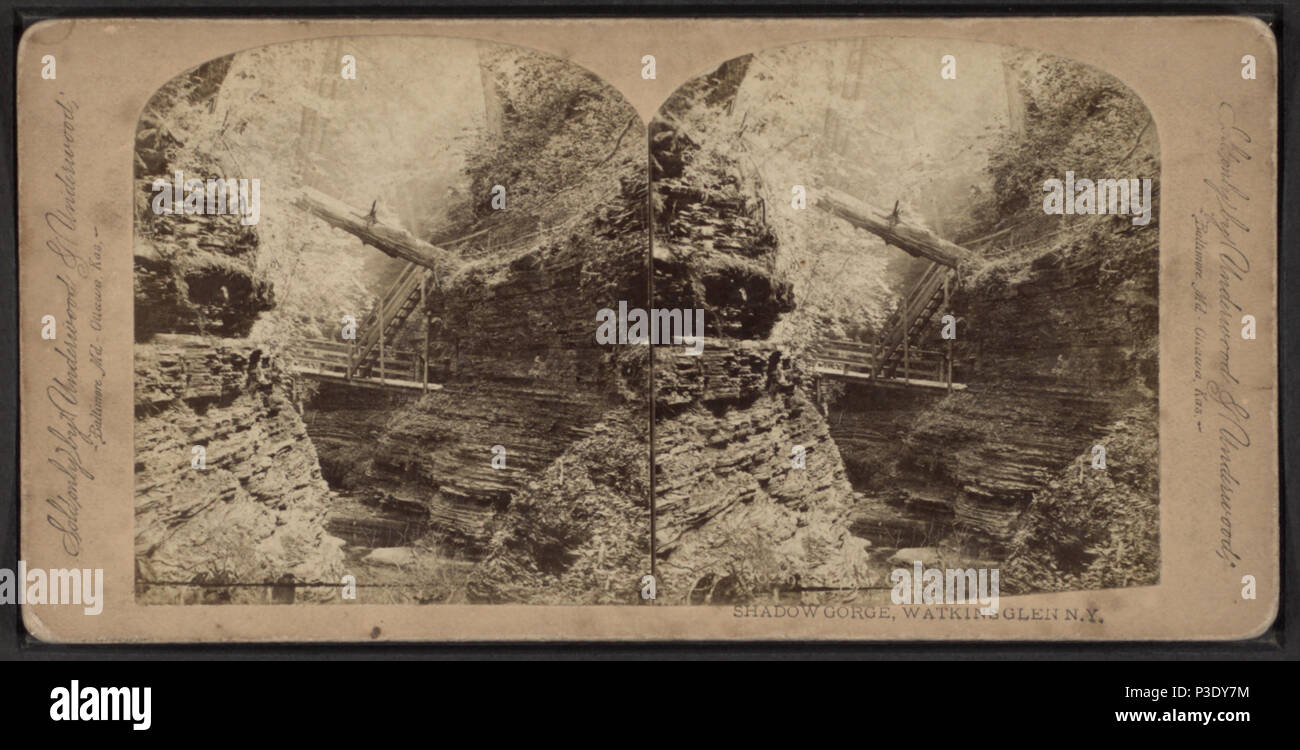 269 Shadow gorge, Watkins Glen, N.Y, from Robert N. Dennis collection ...
