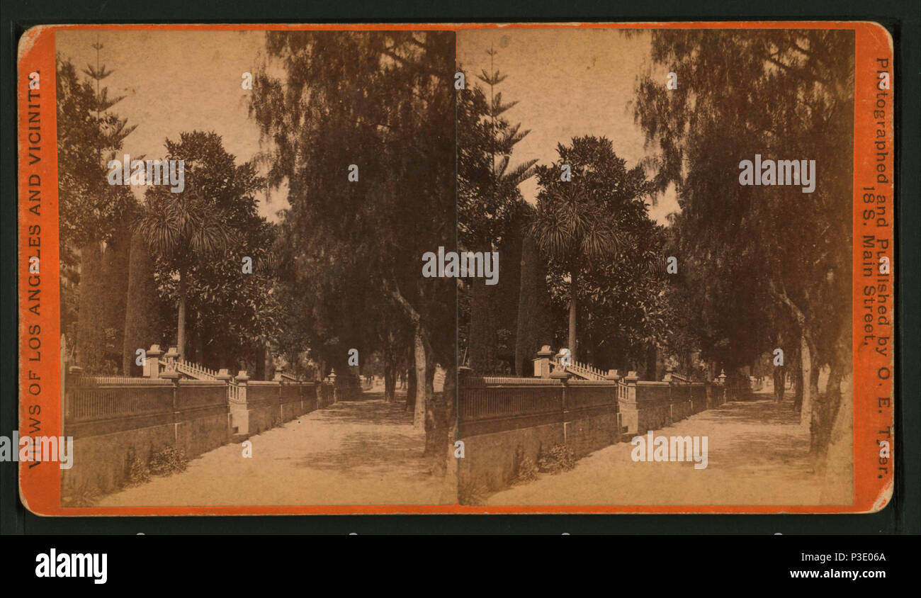 271 Side walk scene, Fort Street. Los Angeles, California, by O. E ...