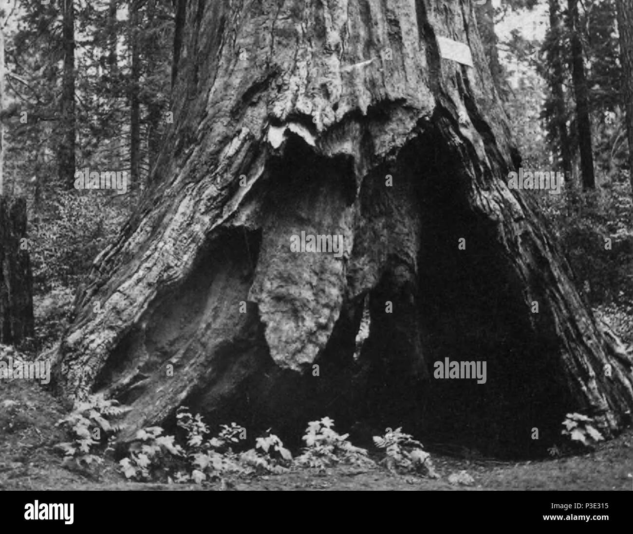 Pioneers cabin hi-res stock photography and images - Alamy