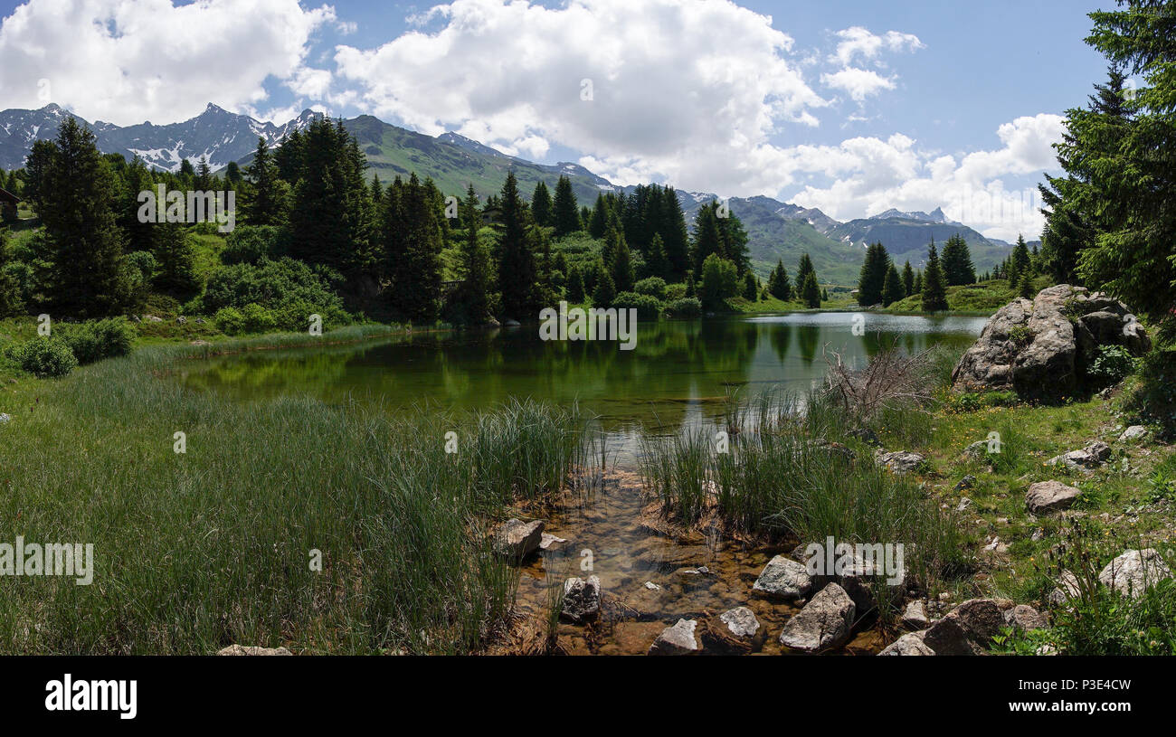Parc ela hi-res stock photography and images - Alamy