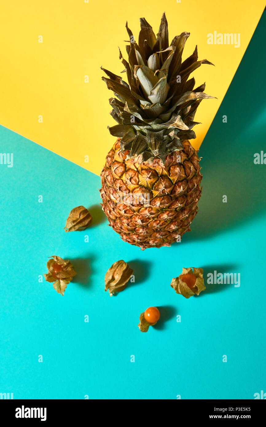 Ripe physalis with husk and pineapple on a blue yellow background Stock ...