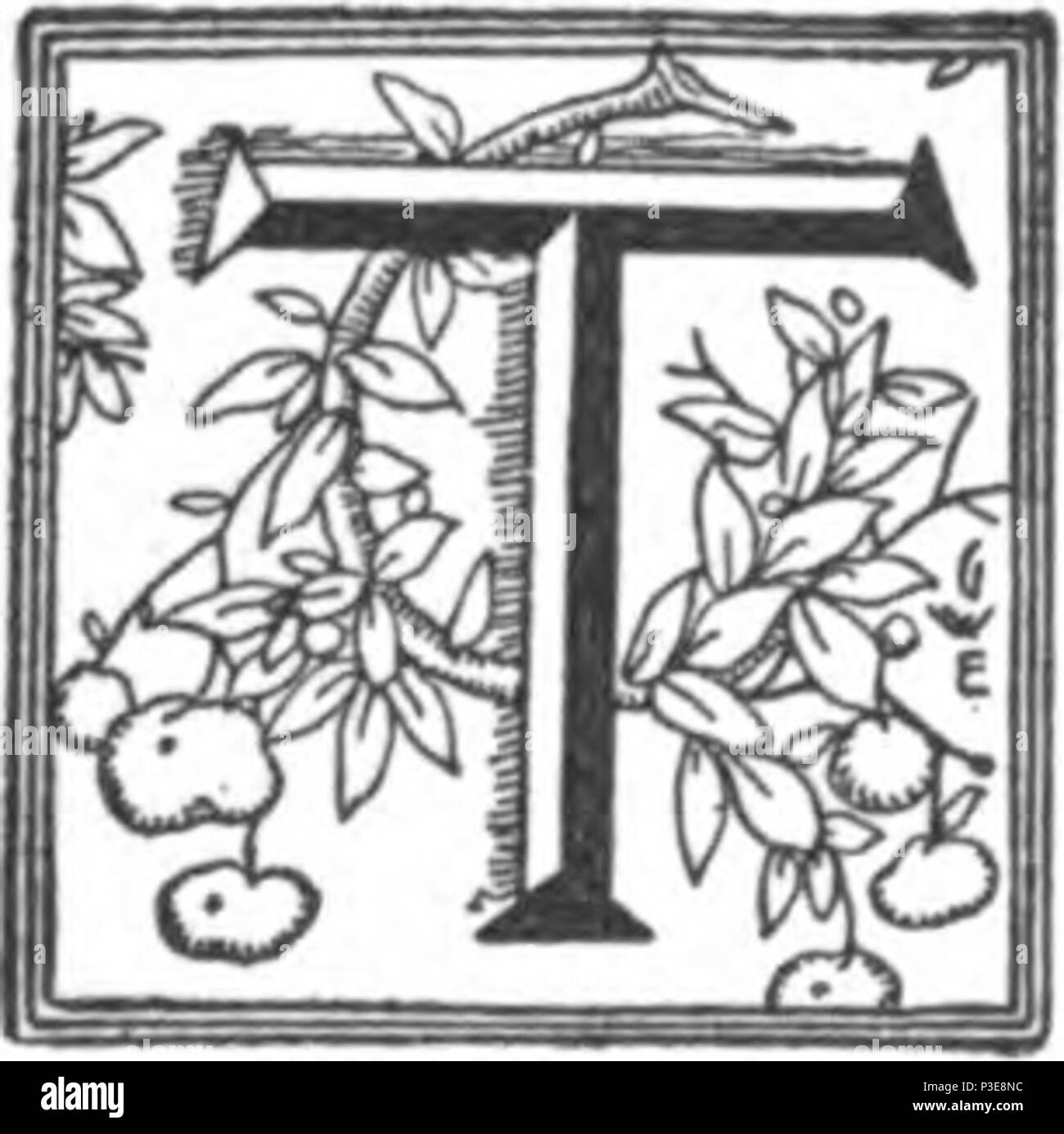 4 TTE initial T Stock Photo - Alamy