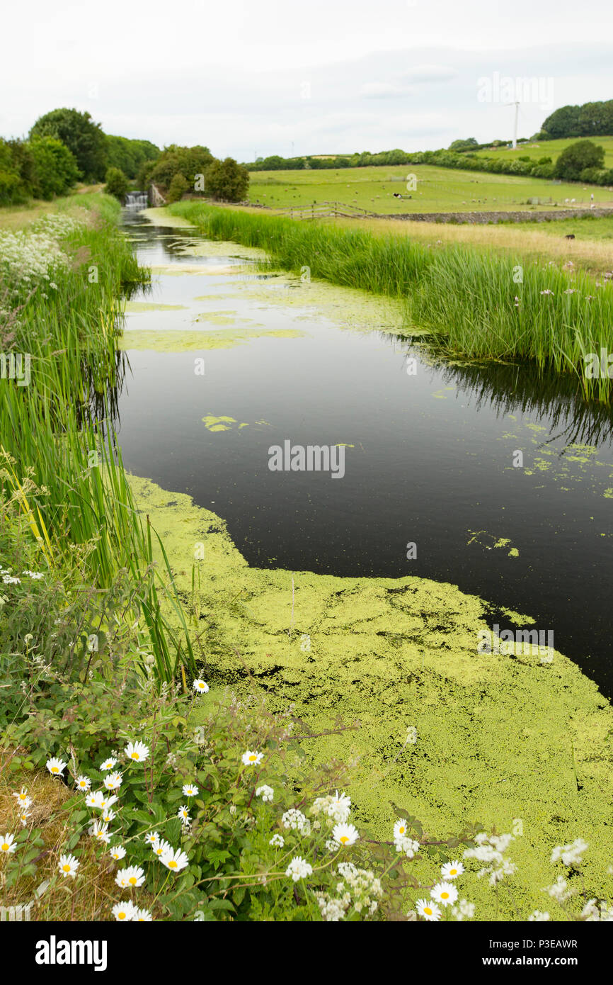 Lancashire border hi-res stock photography and images - Alamy