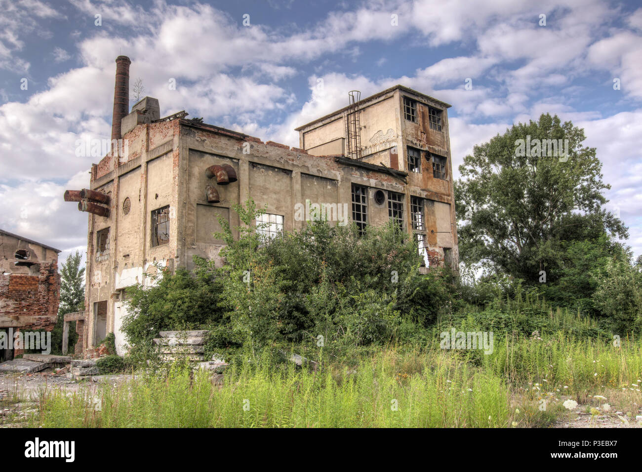 Ruins of abandoned and dilapidated factory overgrown of vegetation ...