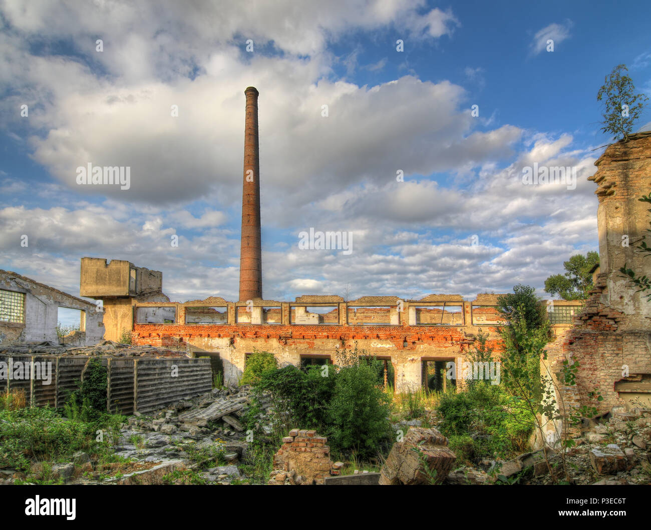 Ruins of abandoned and dilapidated factory overgrown of vegetation ...