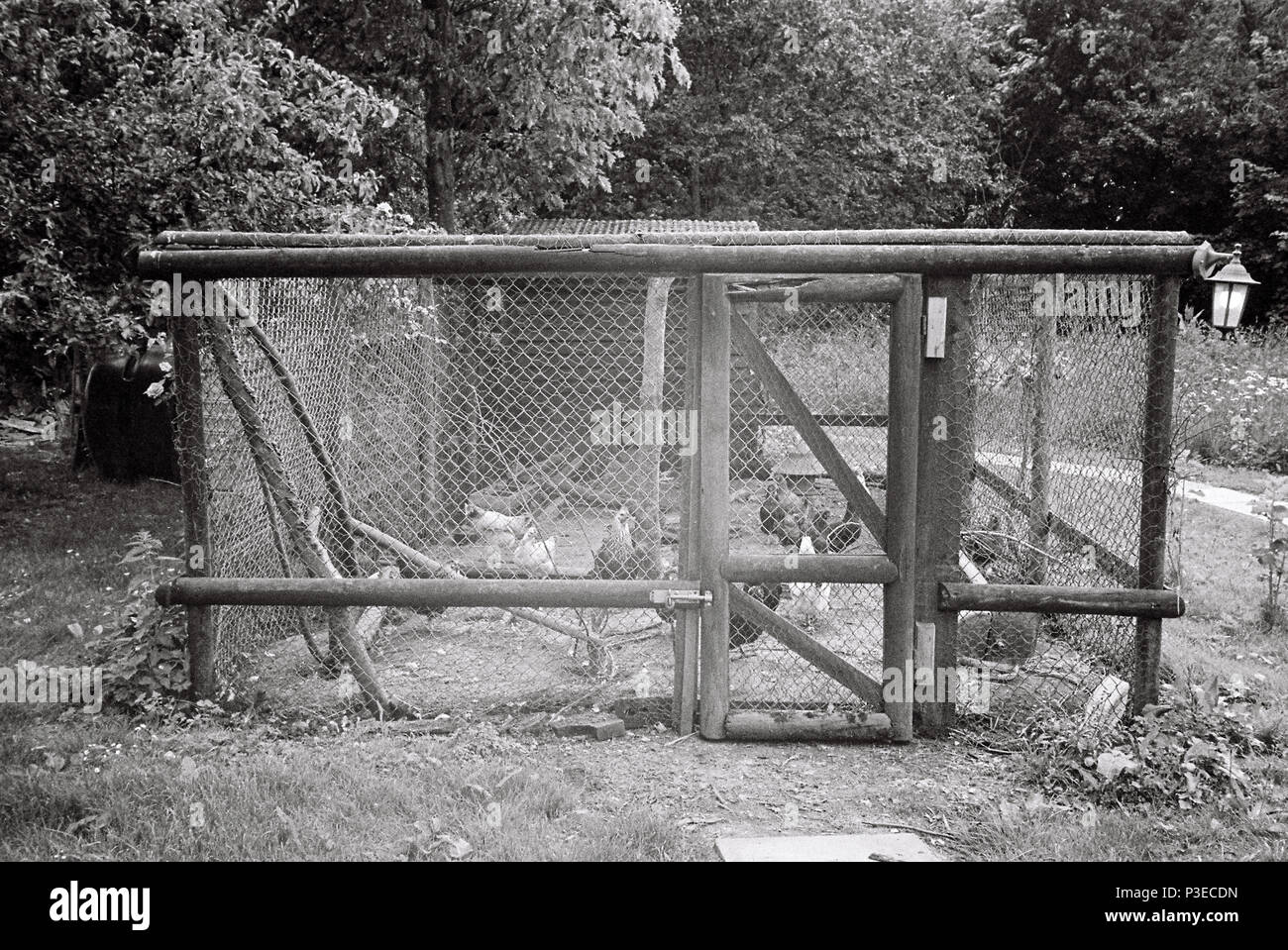 Chicken run enclosure hi-res stock photography and images - Alamy