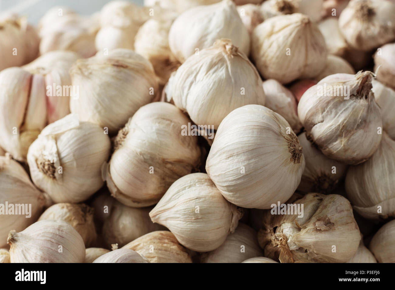Dry garlic with texture of background Stock Photo - Alamy