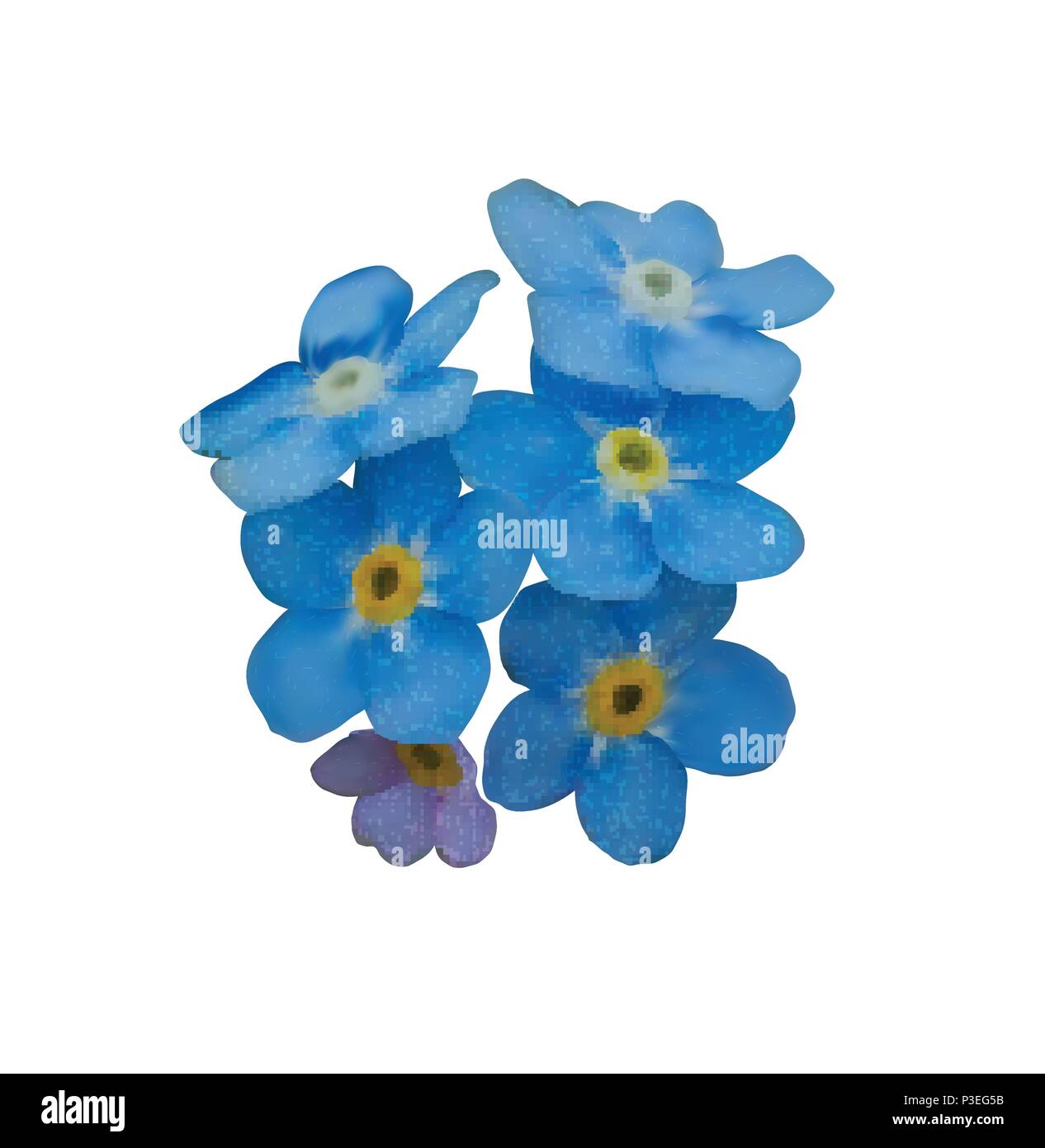 Blue forget me not spring flowers. Decorative element vector Stock ...