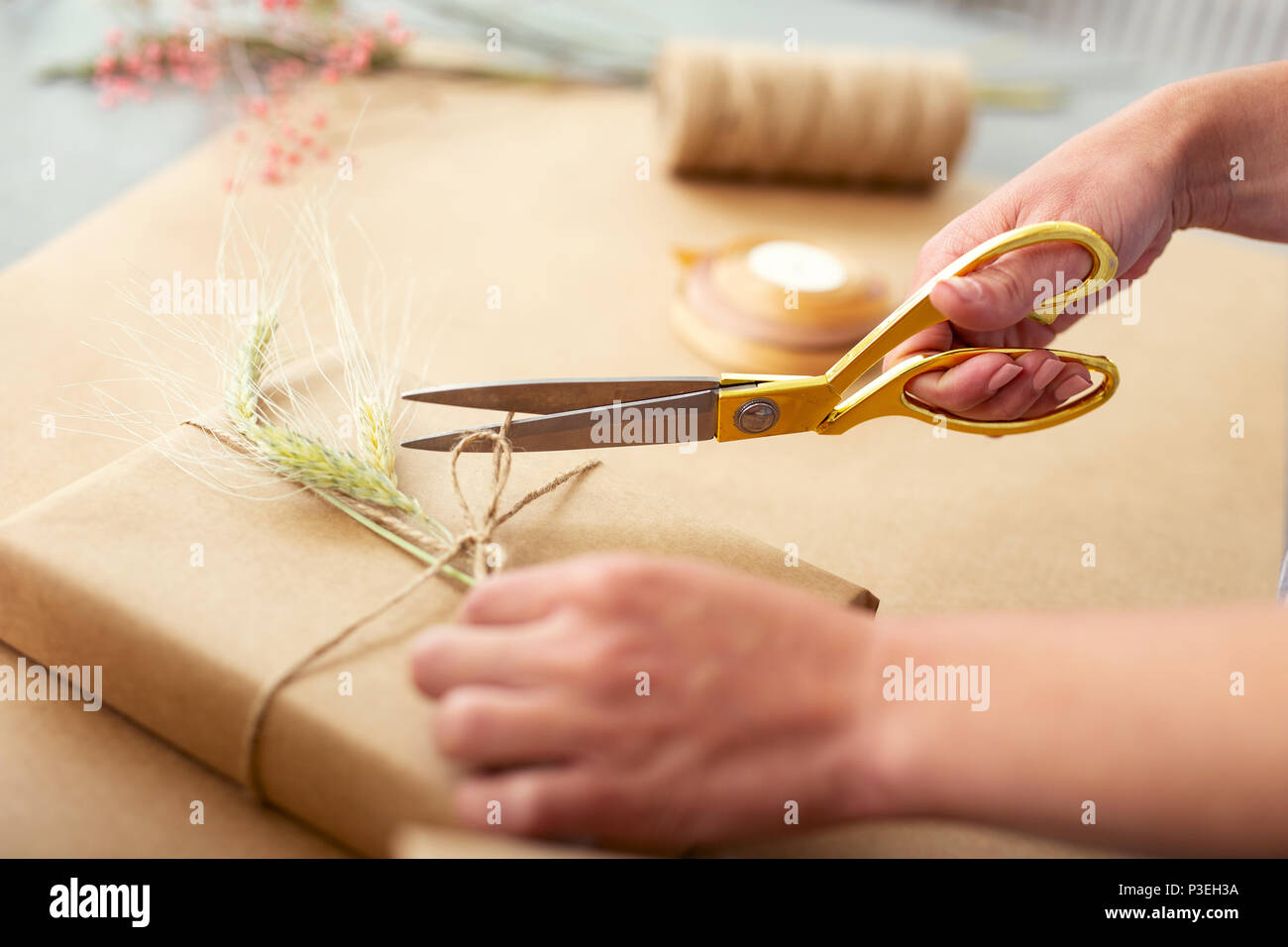 Scissors cutting rope hi-res stock photography and images - Alamy