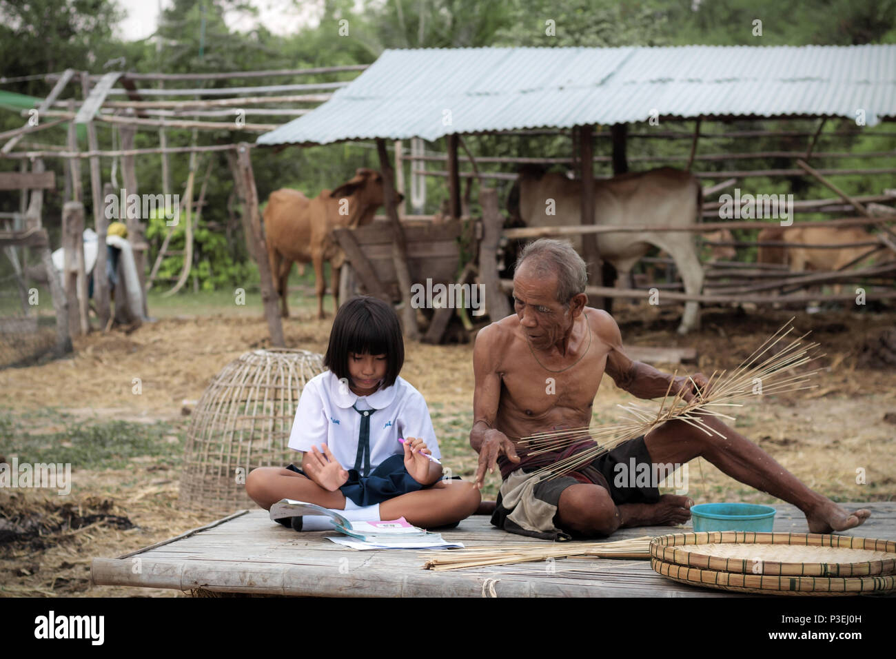 Grandchildren children working hi-res stock photography and images - Alamy