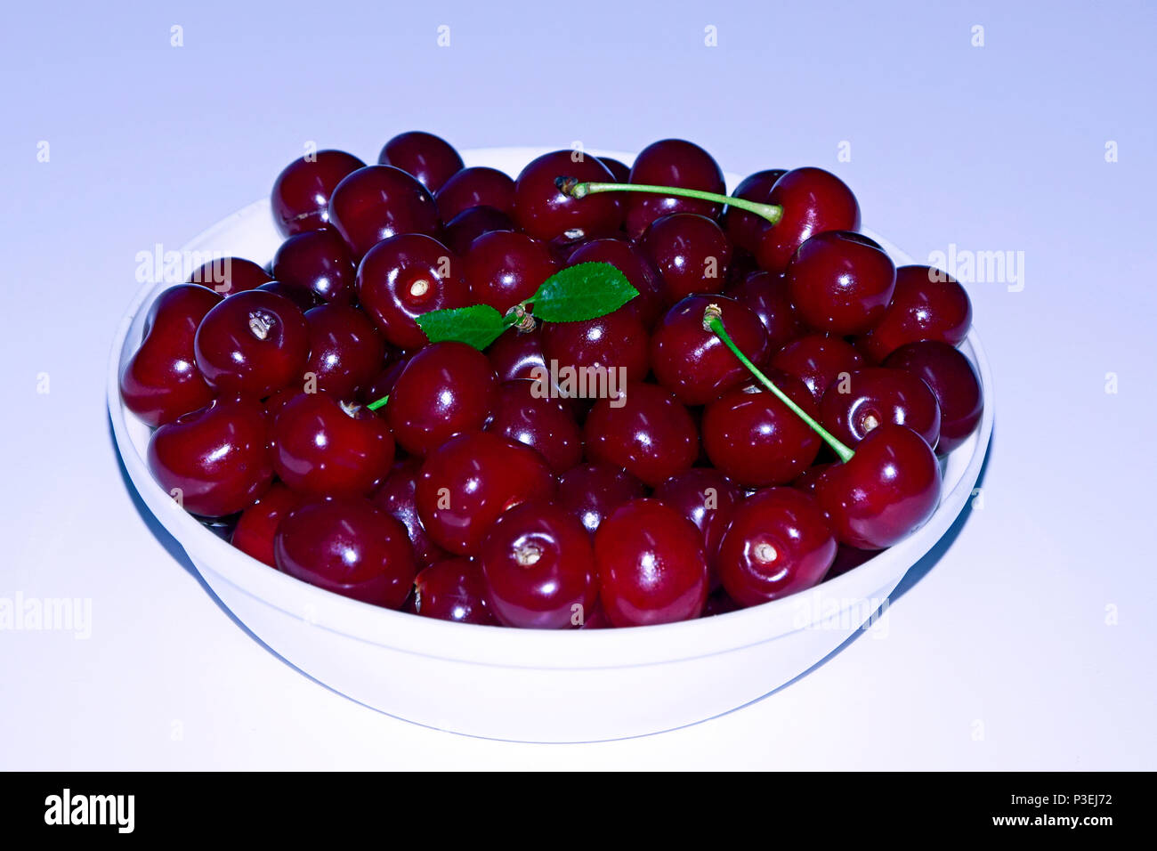 Pile of ripe, dark sour cherries in a white bowl on white background ...