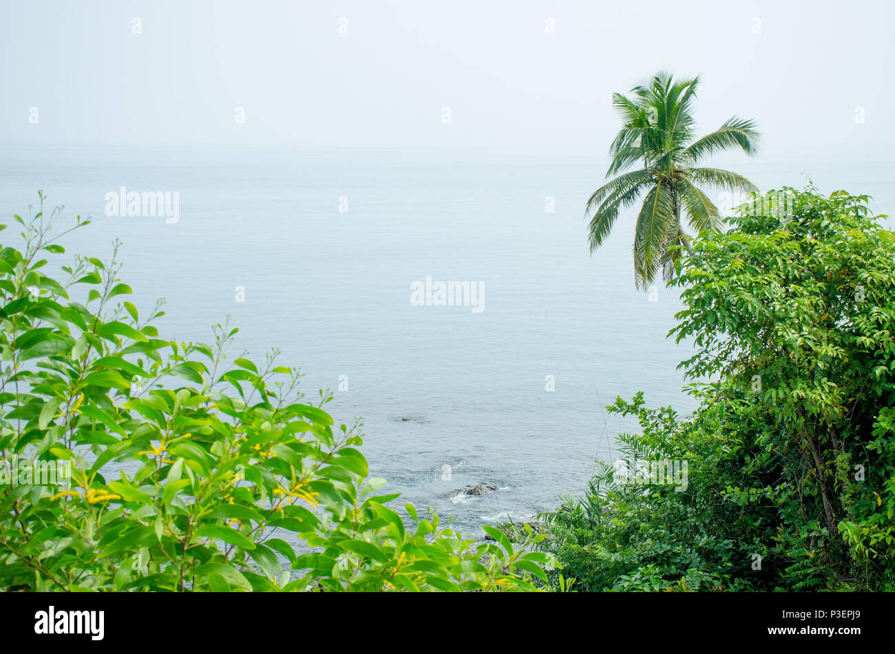 The landscape of the Andaman Sea in India protected with tropical ...