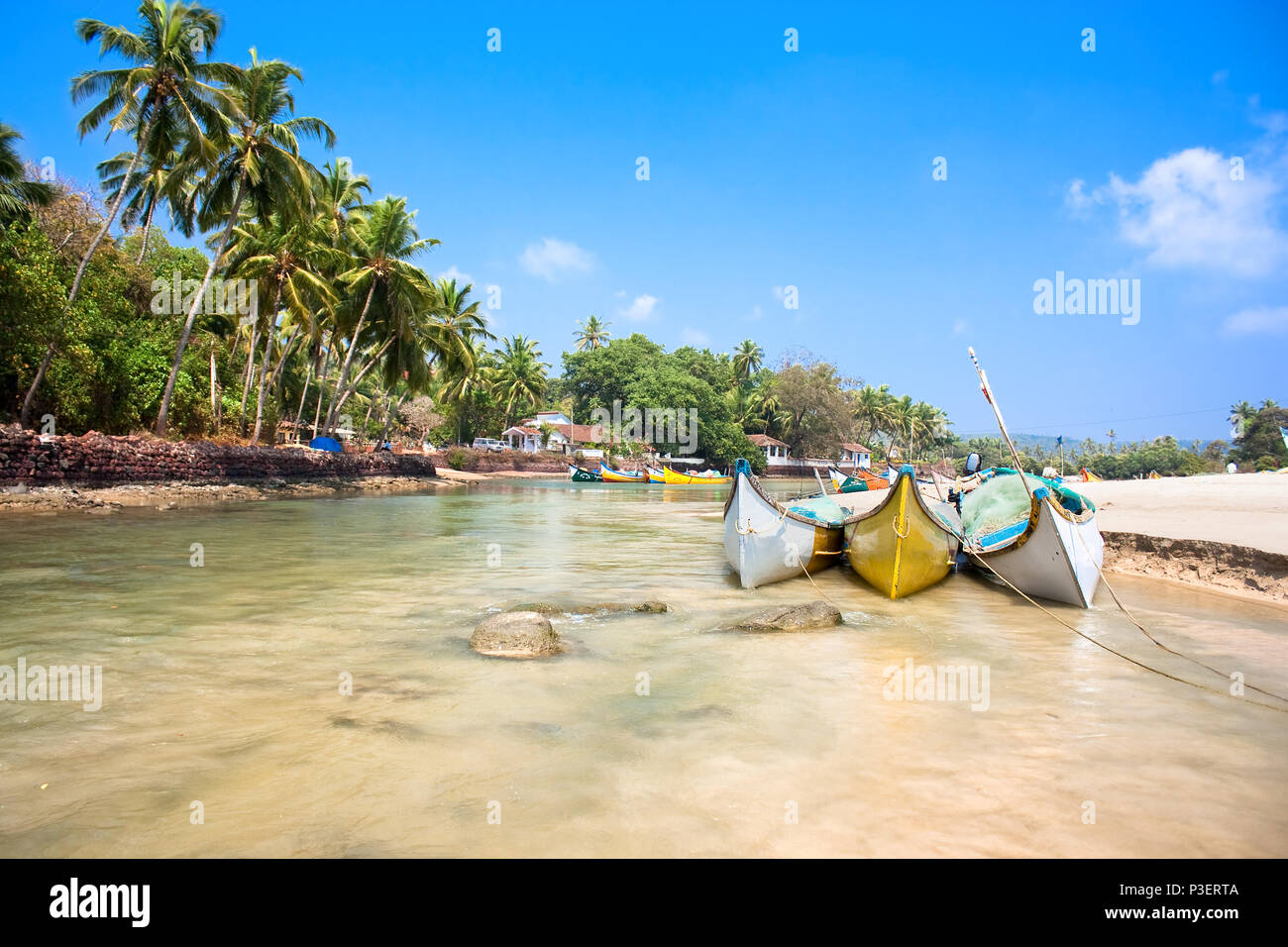 Beautiful view on delta of Baga river with wooden outrigger fishing ...