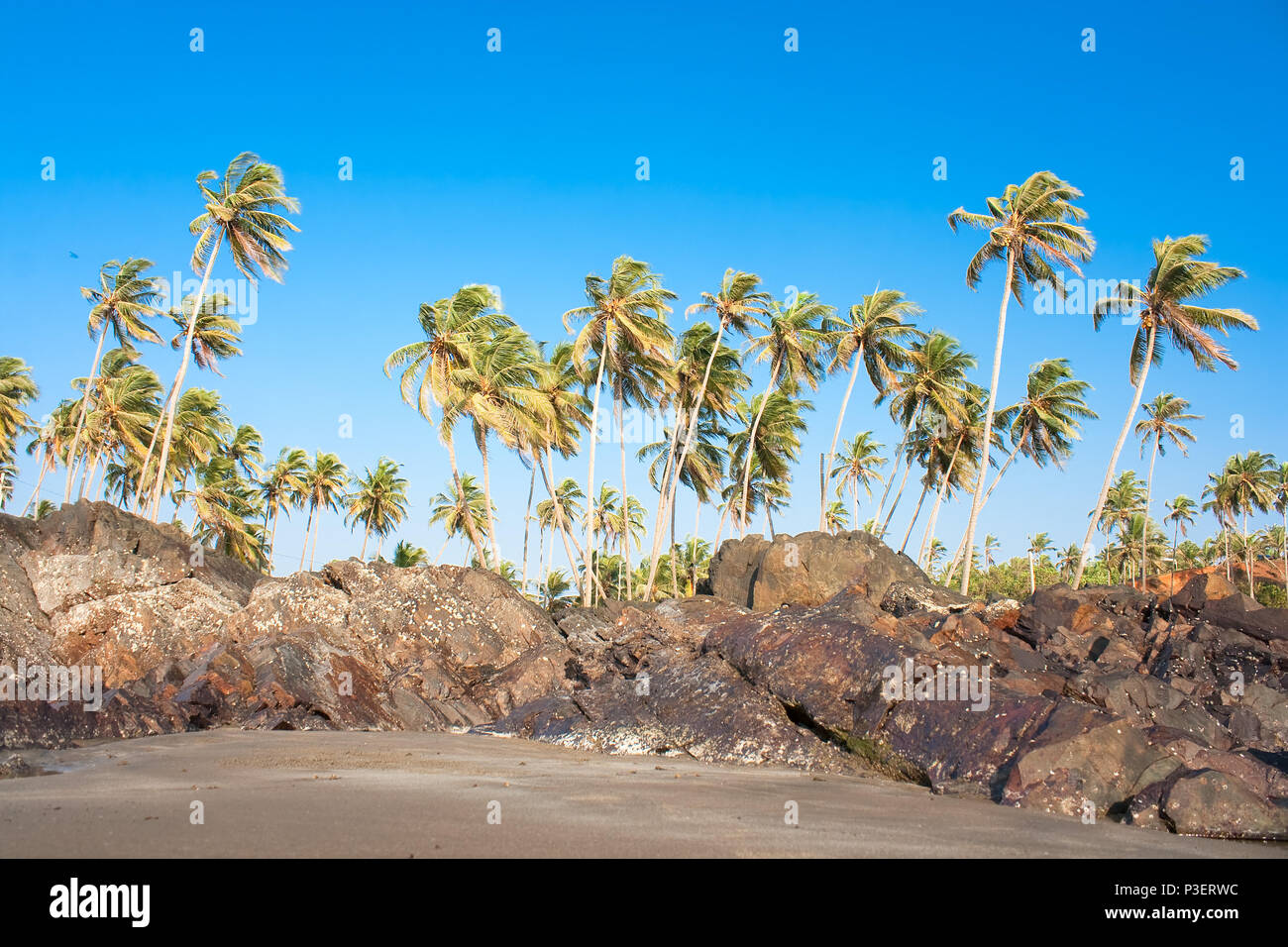 Vagator beach in goa hi-res stock photography and images - Alamy
