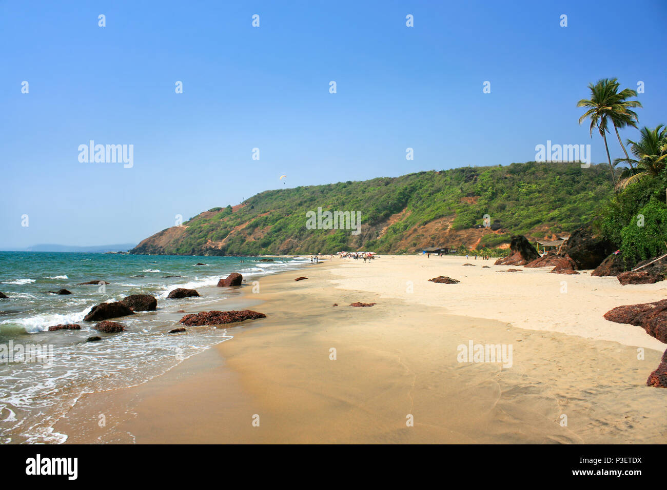 Tropical beach in Arambol,Harmal,Goa, India Stock Photo - Alamy