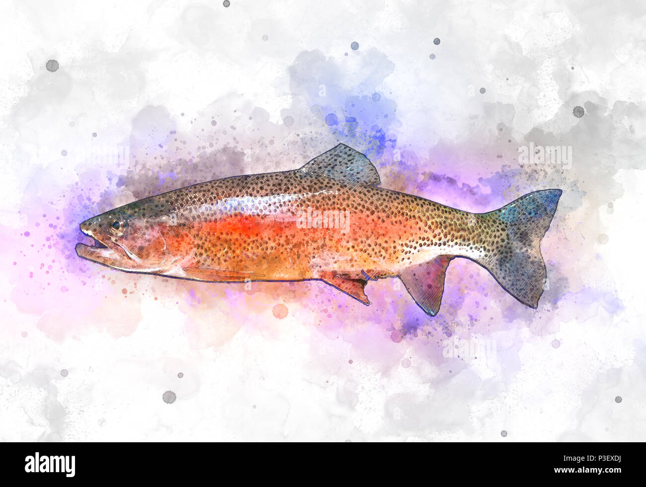 Digitally enhanced image of a side view of a trout Stock Photo - Alamy
