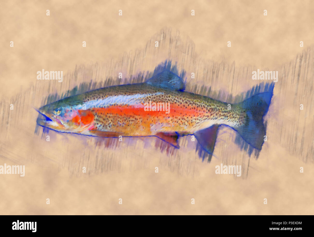 Trout White Water High Resolution Stock Photography and Images - Alamy