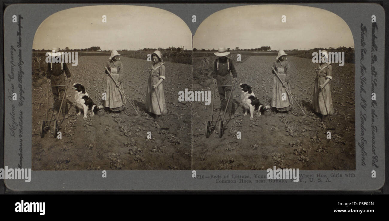 Robert Hoe High Resolution Stock Photography and Images - Alamy