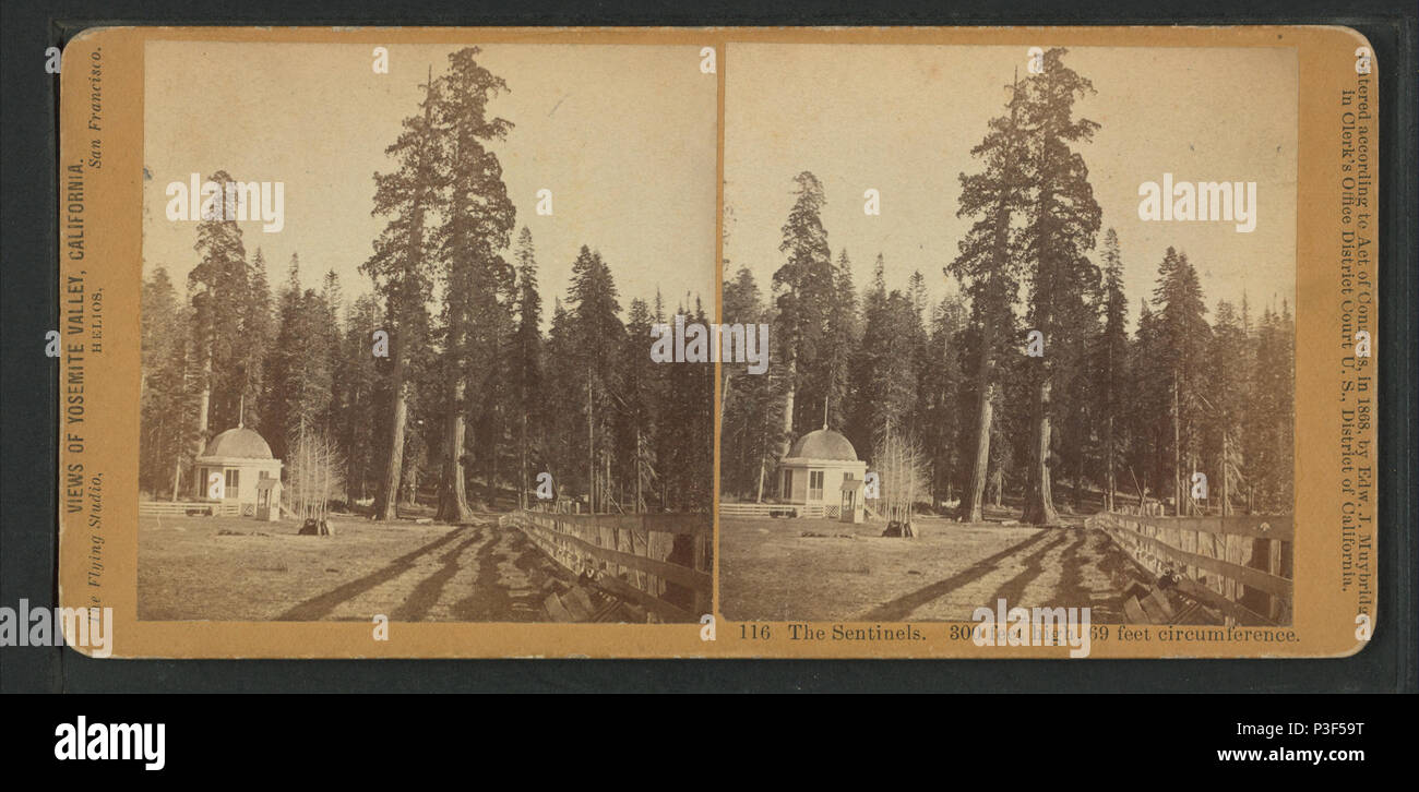 69 feet circumference hi-res stock photography and images - Alamy