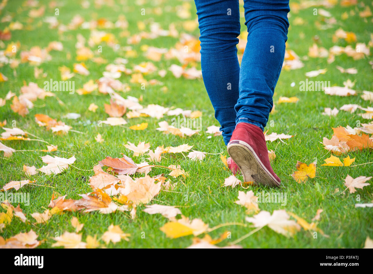 Feet sneakers walking on fall leaves Stock Photo - Alamy