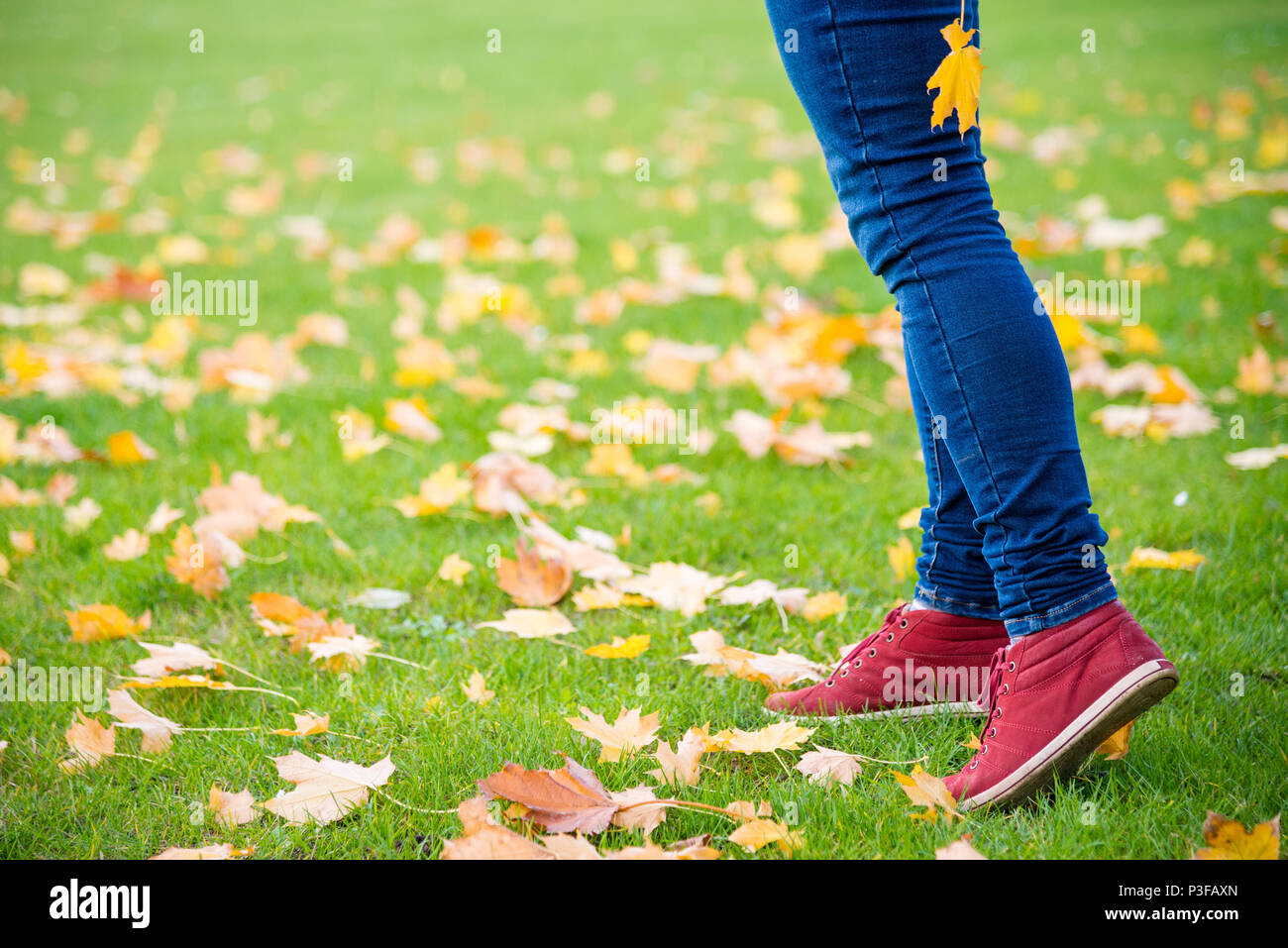 Feet sneakers walking on fall leaves Stock Photo - Alamy