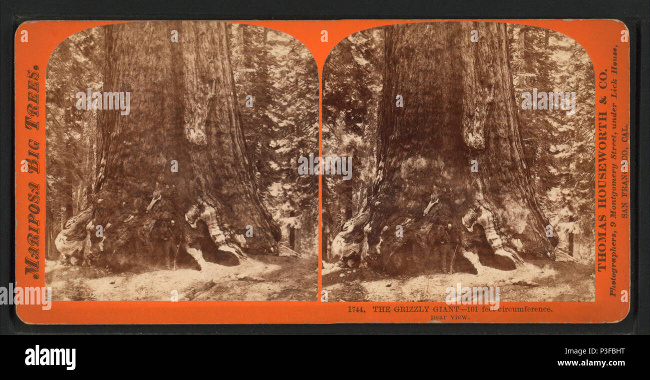 101 feet circumference hi-res stock photography and images - Alamy