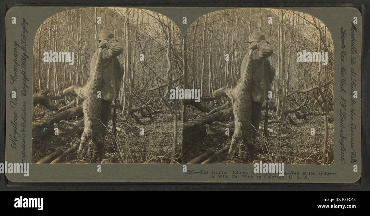 311 The hunter Johnny and his prize - ten miles home. A wild cat hunt ...