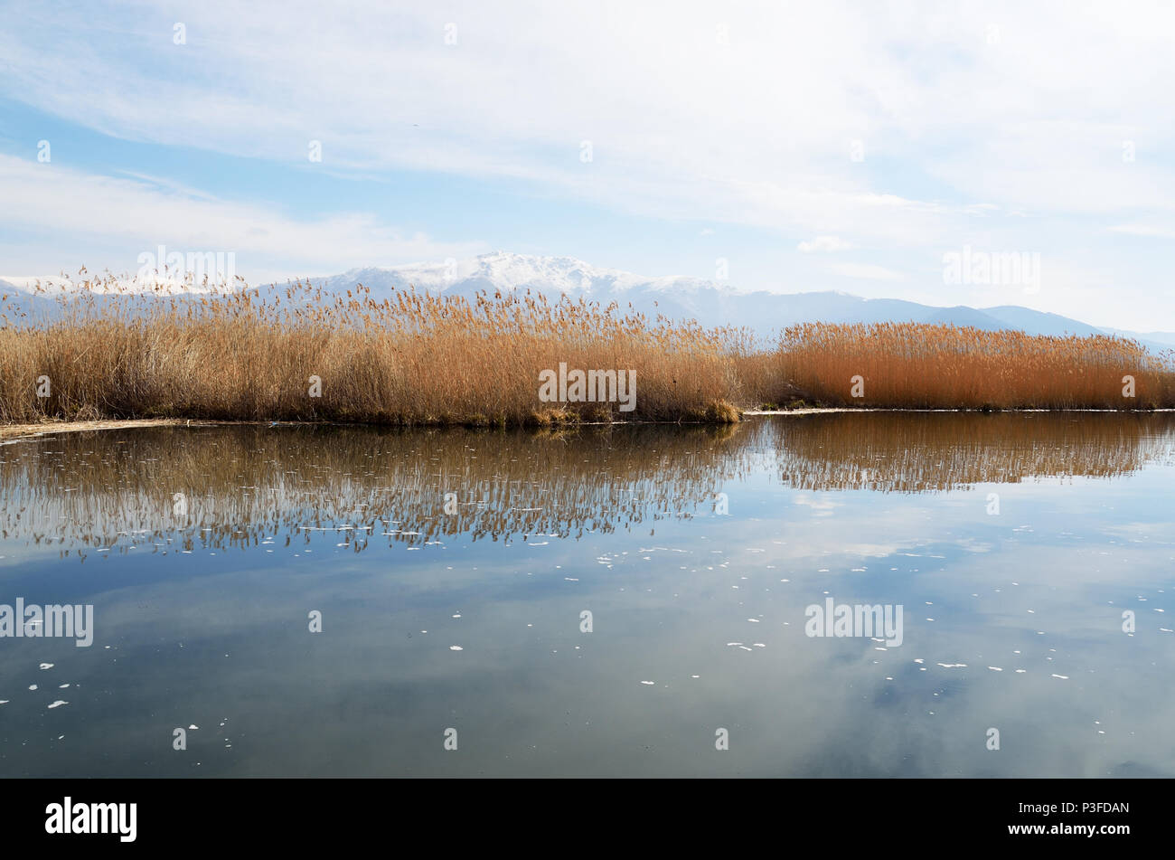 Lesser lake prespa hi-res stock photography and images - Alamy