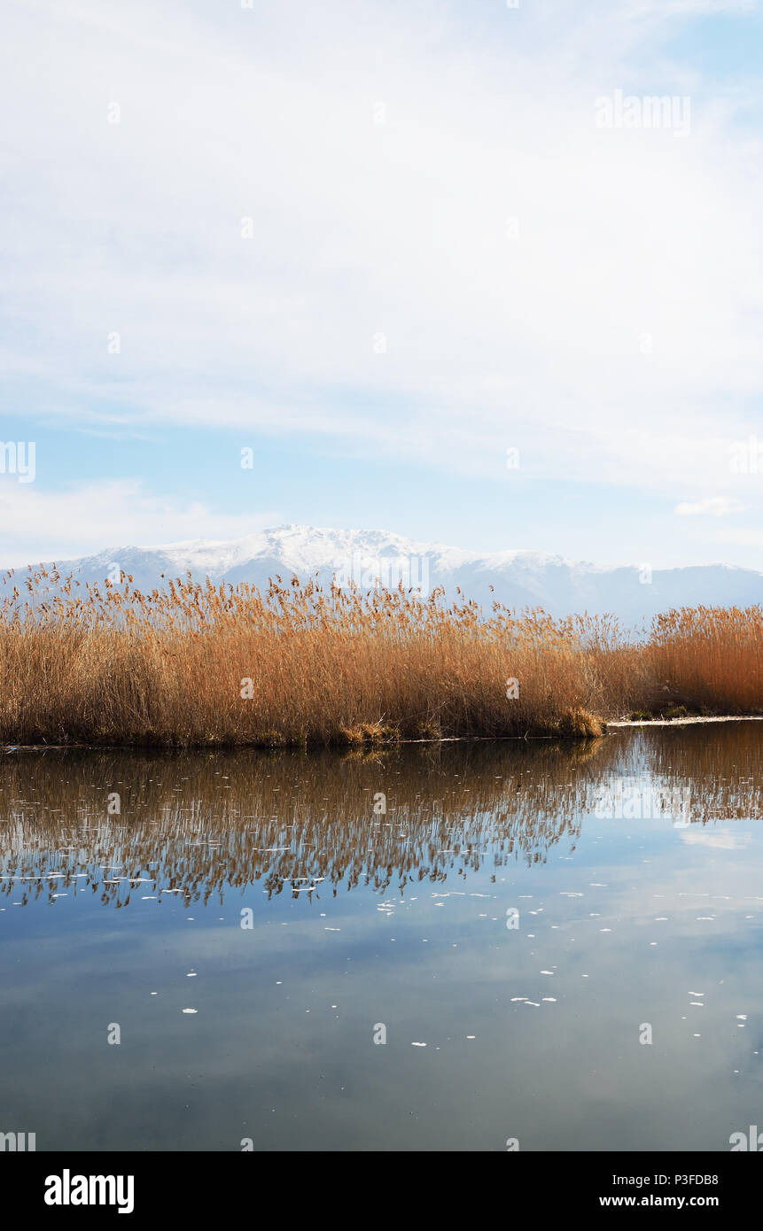 Lesser lake prespa hi-res stock photography and images - Alamy
