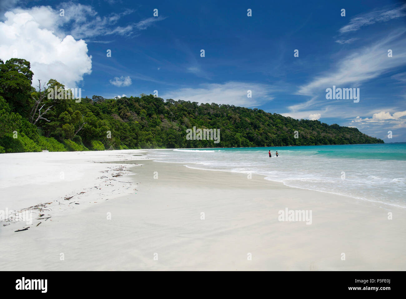 Radhanagar beach, Havelock Island, Andaman islands Stock Photo - Alamy